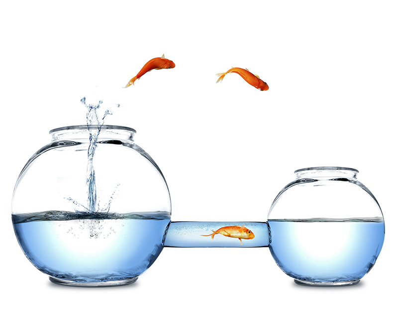 Turning complex data into a simple, visually rich presentation; Tony ...